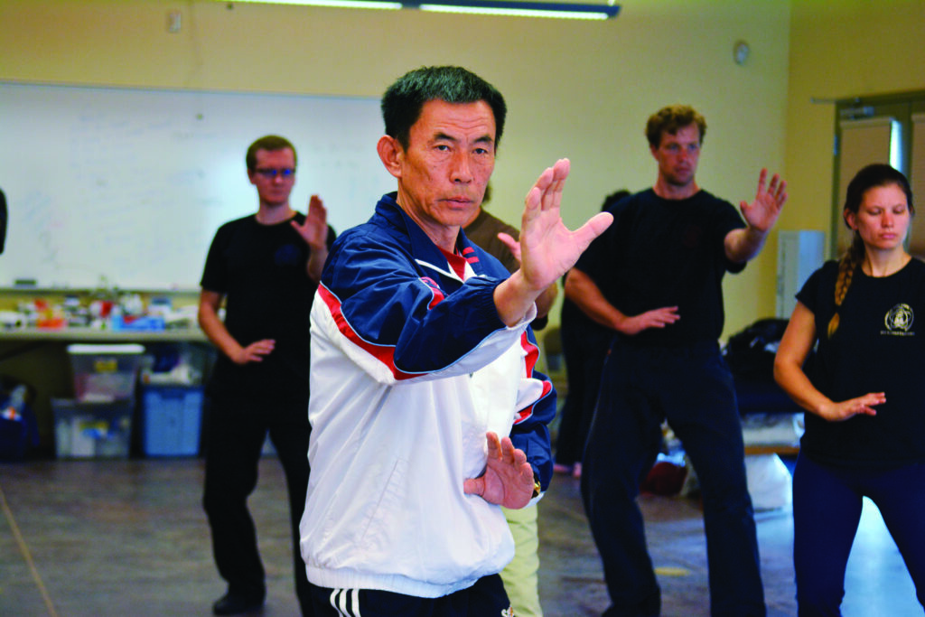 Hero Mountain Xingyi Quan – The North American Tang Shou Tao Association